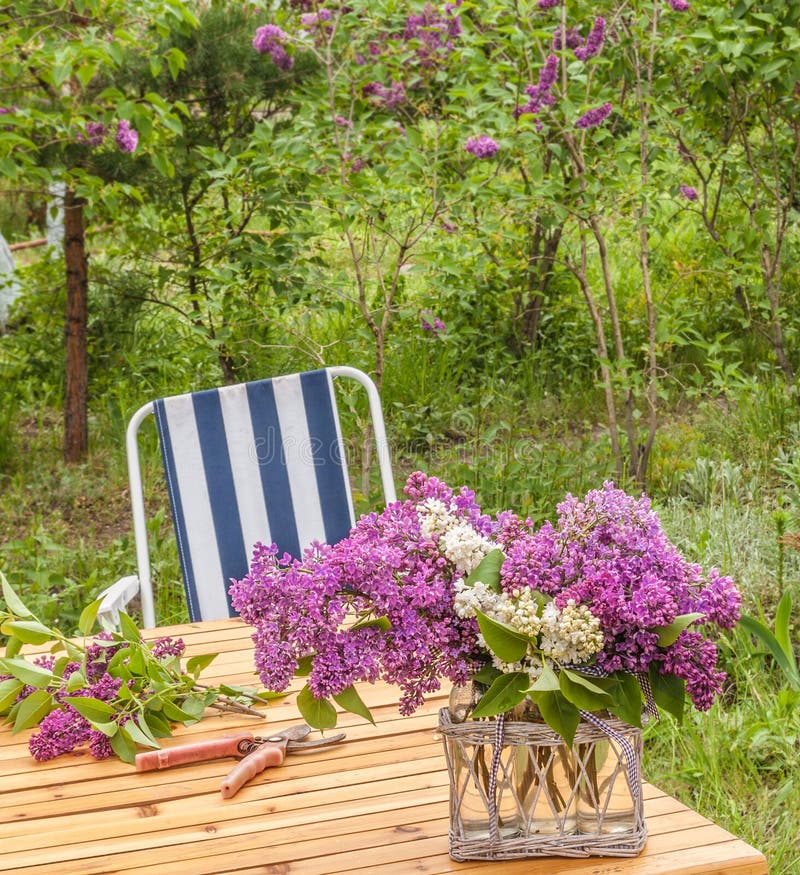 Bouquet of Lilacs on the Table Stock Image - Image of lilacs, varieties ...