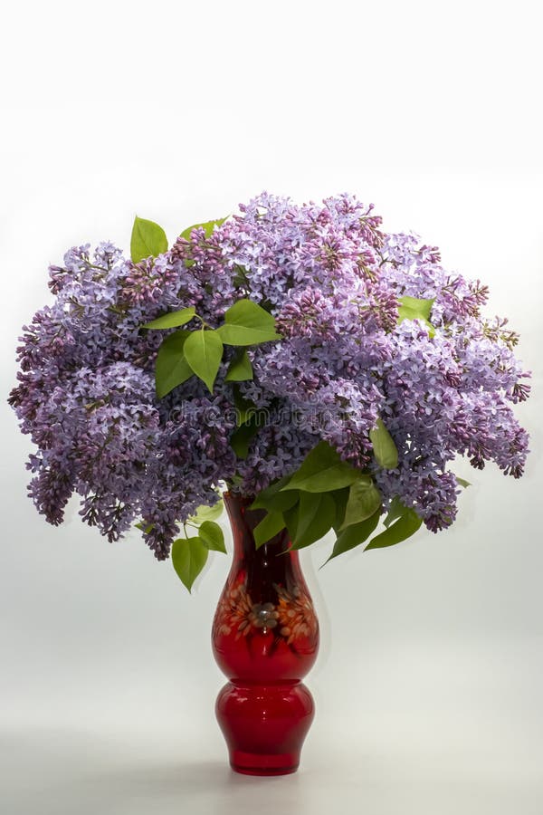 A Bouquet of Lilacs in a Vase. Spring Flowers Concept Stock Photo ...