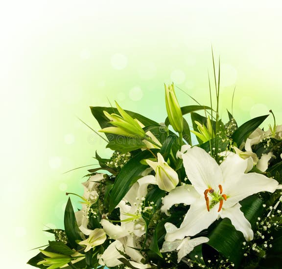 Bouquet of lilies stock image. Image of elegant, floral - 19420869