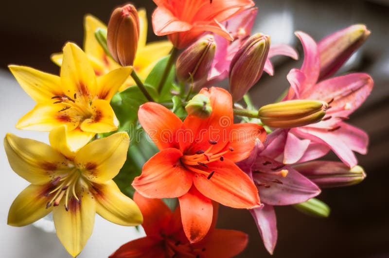 Bouquet of lilies stock image. Image of lily, bright - 83449445