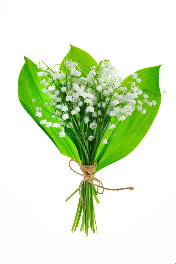 Bouquet of Lilies of the Valley Tied with a Jute Rope on a White ...