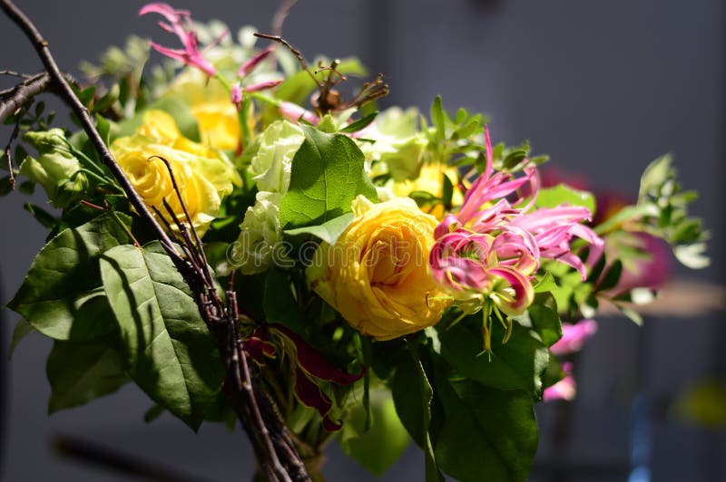 Bouquet of Live Flowers Collected in the Composition Stock Image ...