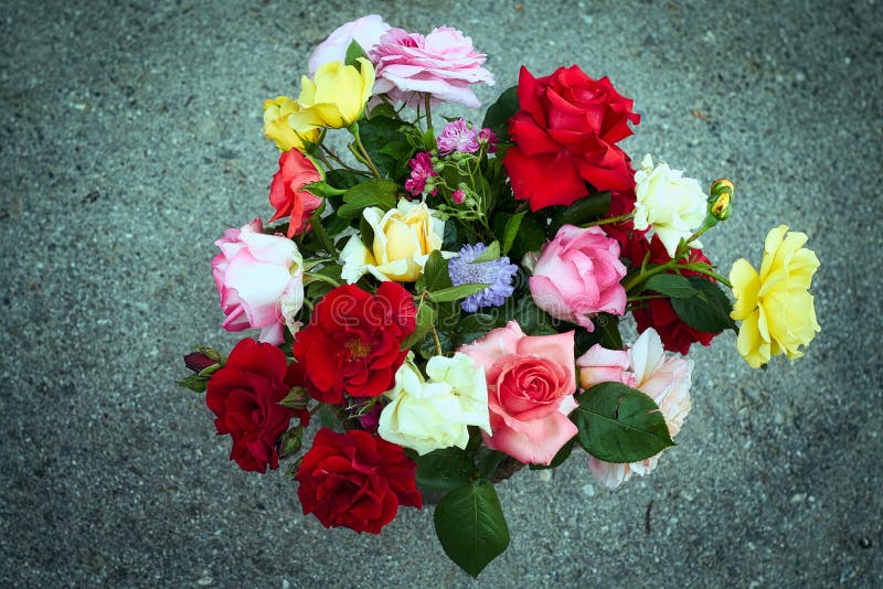 Bouquet of Multi Colored Roses Stock Image - Image of birthday, leaf ...