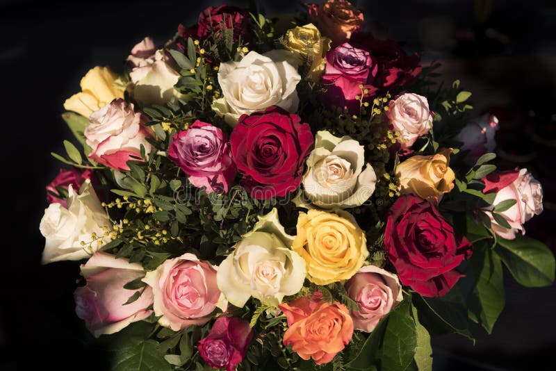 Yellow roses stock photo. Image of bouquet, bloom, rose - 58655672