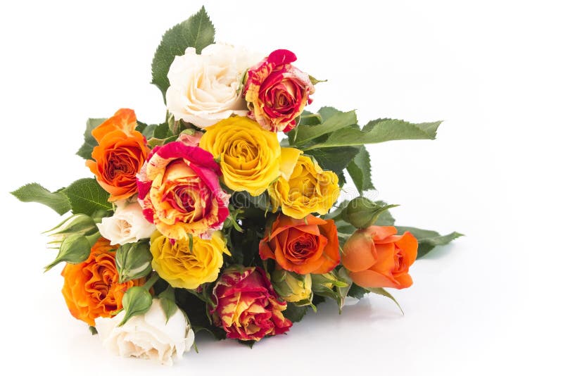 Bouquet of Multicolored Roses Isolated on White Stock Photo - Image of ...
