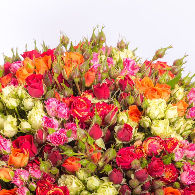 Bouquet of Multicolored Roses Stock Photo - Image of color, love: 44825734