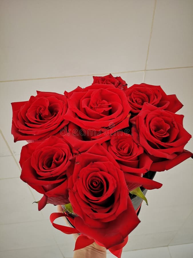 Bouquet of old roses stock image. Image of flor, semimarchita - 269583929