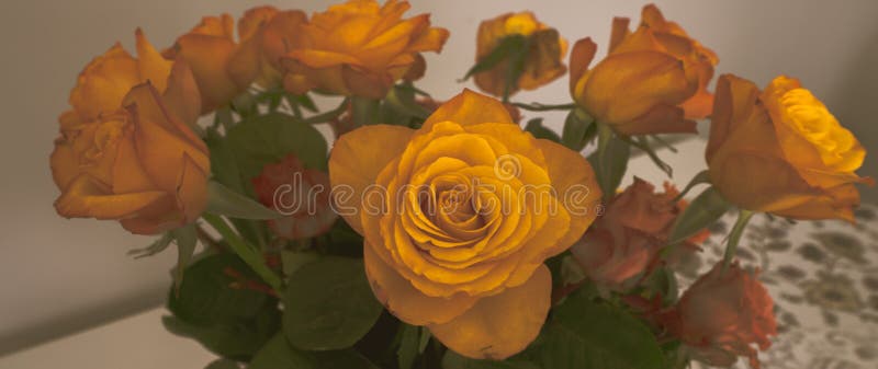 Bouquet of Orange Roses in a Vase Stock Image - Image of bunch, flora ...