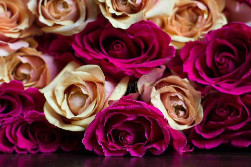 Bouquet of Peach and Pink Roses Stock Image - Image of bouquet, love ...