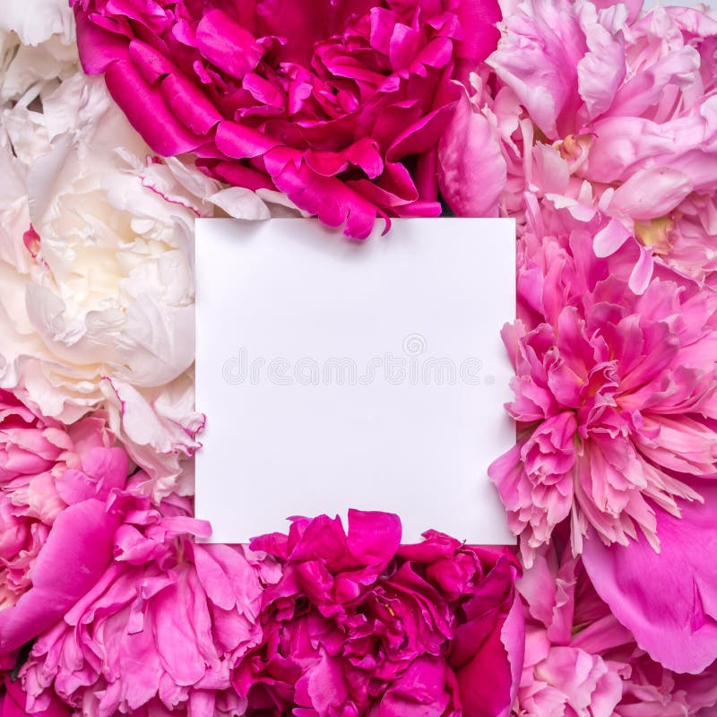 A Bouquet of Peonies and a Note Inside. Spring Violet Flowers Stock ...
