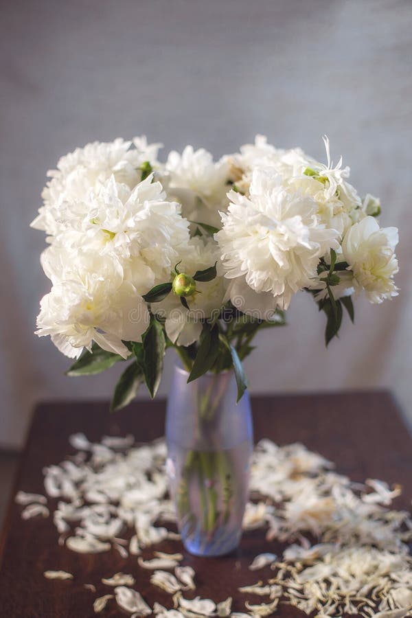Bouquet of Peonies in a Vase on the Table Stock Image - Image of aroma ...