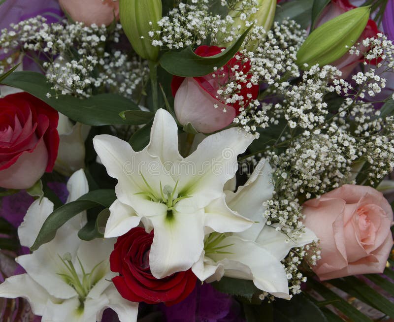 Bouquet: Pink Both Red Roses and White Lilies. Stock Image - Image of ...