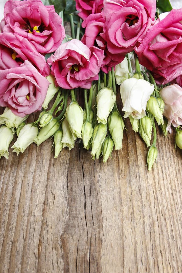 Bouquet of Pink Eustoma Flowers Stock Image - Image of florist, flora ...