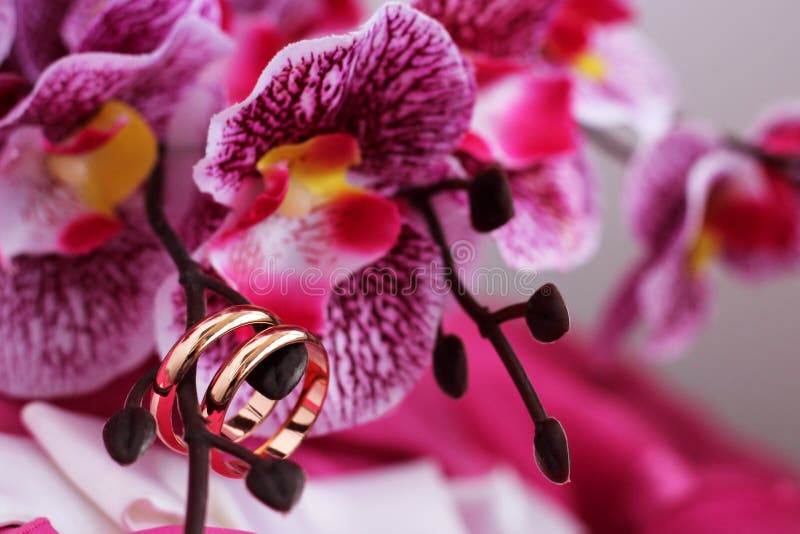 Bouquet of Pink Flowers and Wedding Rings Stock Photo - Image of ...