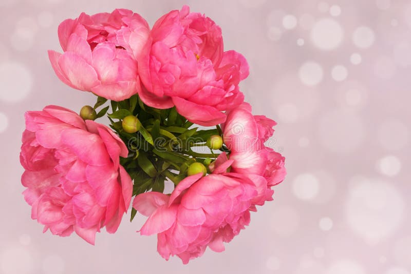 Bouquet of Pink Peonies Top View Stock Image - Image of freshness, flat ...