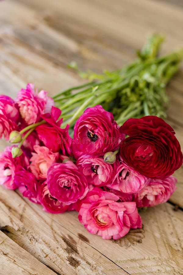 Bouquet of Pink Ranunculus Lying on Rustic Tabletop Stock Image - Image ...