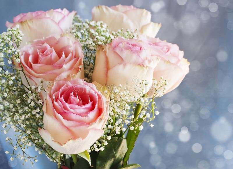 Pink Roses collage stock photo. Image of beauty, flora - 15542970