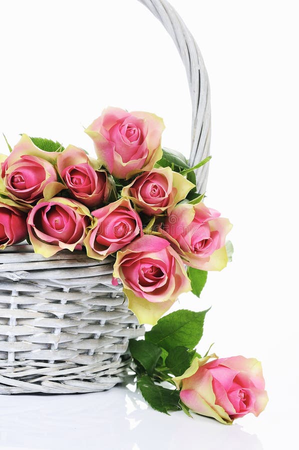 Beautiful Pink Roses and Gypsophila (Baby S-breath Flowers) Stock Photo ...