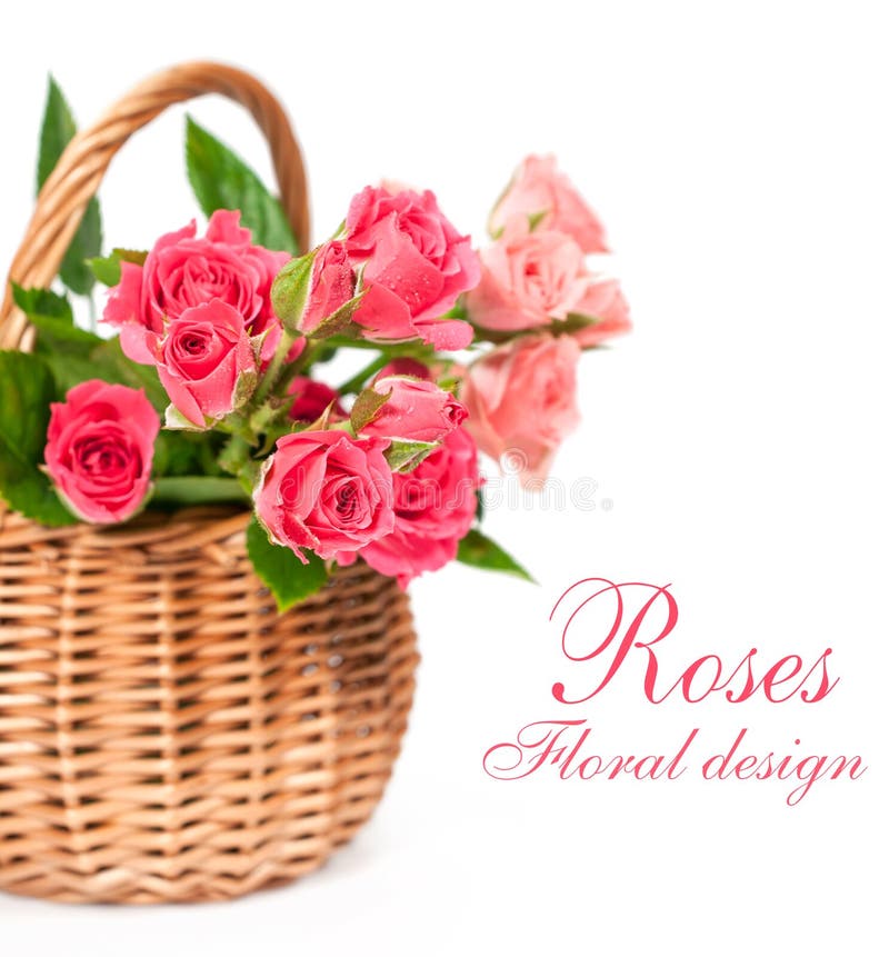 Bouquet of Pink Roses in a Basket Stock Photo - Image of flowers, white ...
