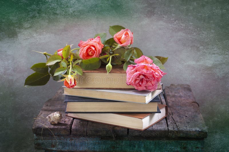 Bouquet of pink roses stock photo. Image of still, spring - 92956286