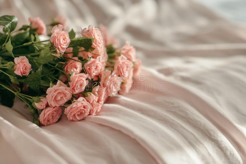 Bouquet of pink roses stock image. Image of bunch, beauty - 62886547