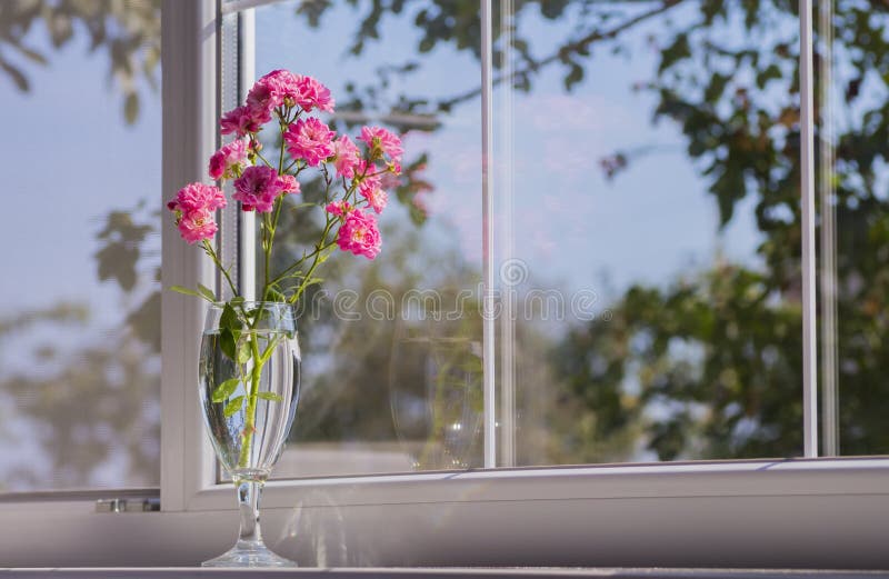 Bouquet of Pink Roses in Glass Near Window Stock Image - Image of ...