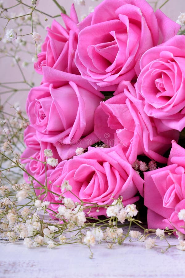 Bouquet of Pink Roses and Gypsophila Flowers Stock Photo - Image of ... Bouquet of Pink Roses and Gypsophila Flowers Stock Photo - Image of ...