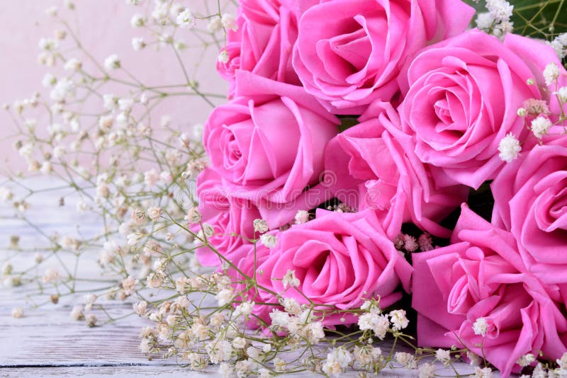 Bouquet of Pink Roses and Gypsophila Flowers Stock Photo - Image of ... Bouquet of Pink Roses and Gypsophila Flowers Stock Photo - Image of ...