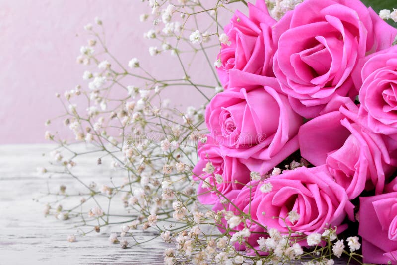 Bouquet of Pink Roses and Gypsophila Flowers Stock Image - Image of ... Bouquet of Pink Roses and Gypsophila Flowers Stock Image - Image of ...