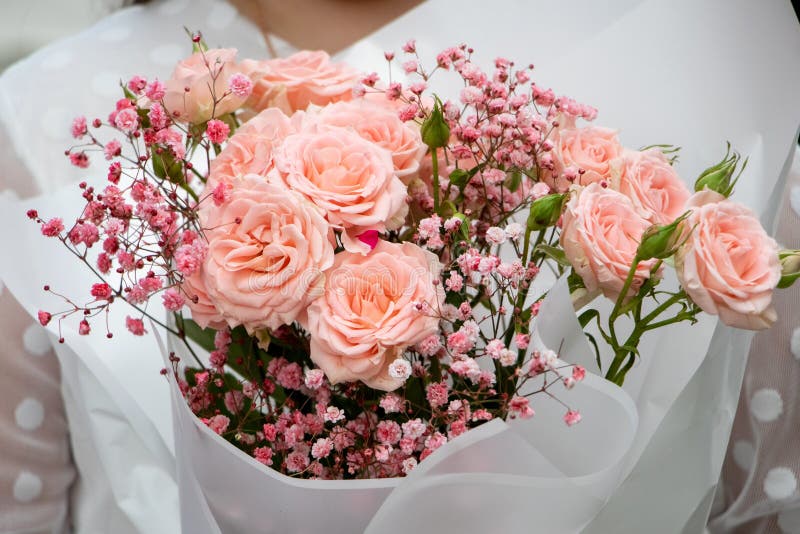 A Bouquet of Pink Roses in the Hands of a Girl Stock Photo - Image of ...