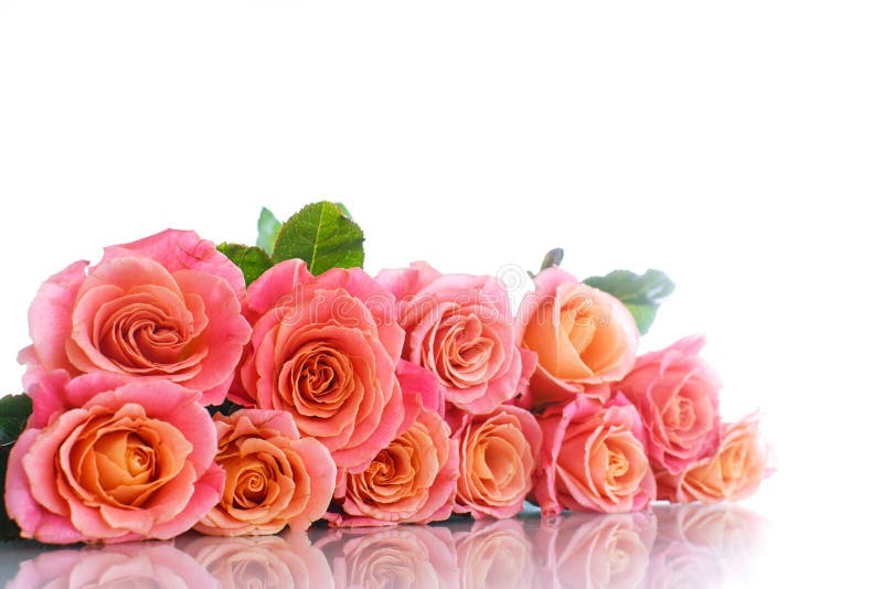 Bouquet of pink roses stock image. Image of celebration - 70014681