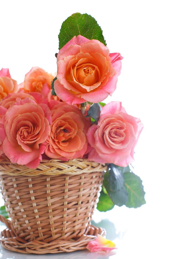 Bouquet of pink roses stock image. Image of blossom, frame - 70840717