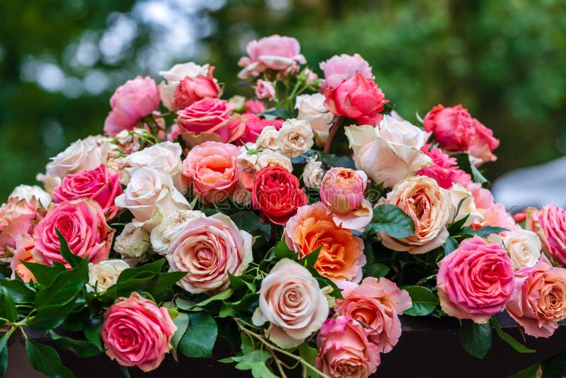 Bouquet of pink roses stock image. Image of elegance - 128275745