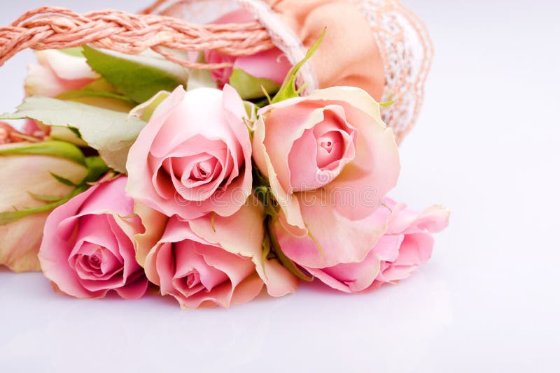 Bouquet of pink roses stock photo. Image of beauty, green - 32294584