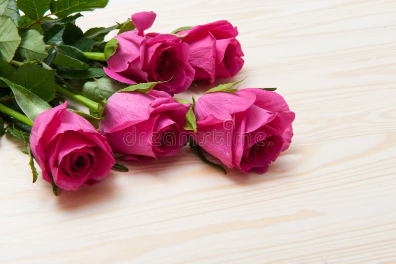 Bouquet of Pink Roses on the Table Stock Photo - Image of closeup ...