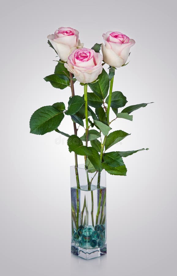 Bouquet of Pink Roses in a Vase Stock Image - Image of beautiful ...