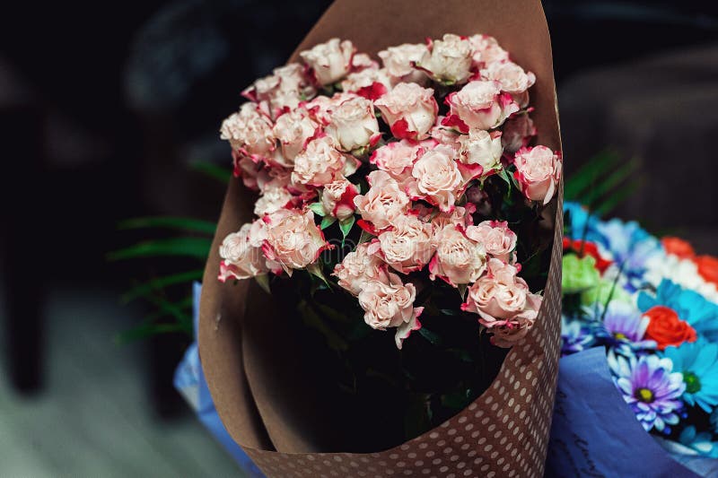 Bouquet of Pink Roses Wrapped in Paper Stock Photo - Image of ...