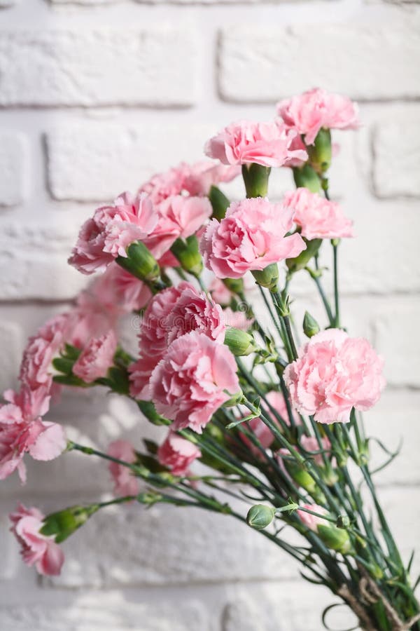 Bouquet of Pink Spray Carnations Stock Photo - Image of spray, nature ...