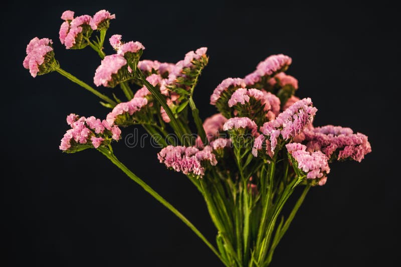 Bouquet with Pink Statice Flowers (limonium), Stock Image - Image of ...