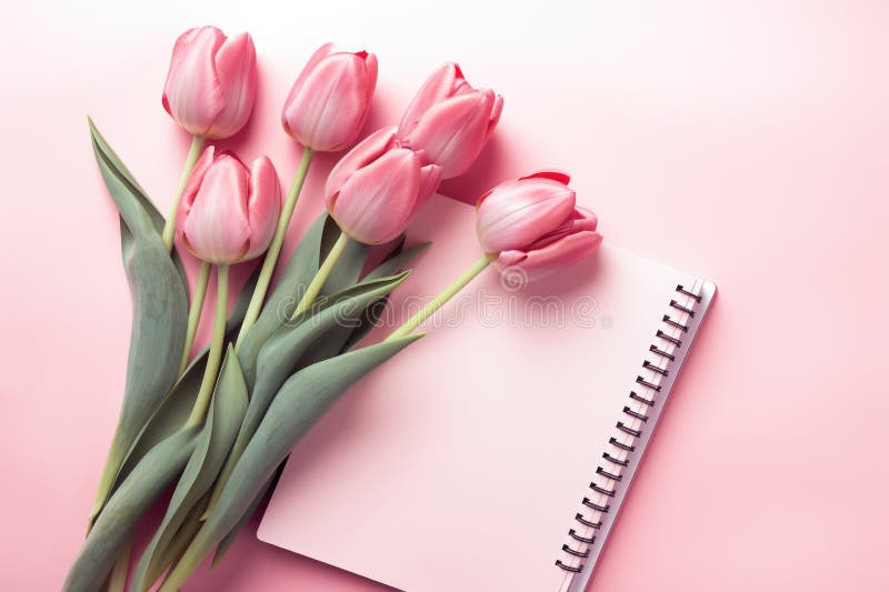 Bouquet of Pink Tulips and Empty Notebook. Spring Flowers Lie on Opened ...