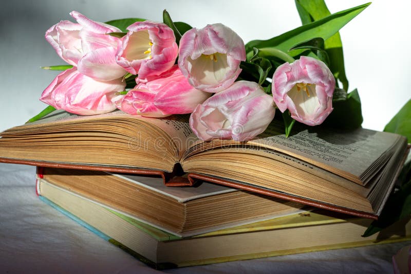Bouquet of Pink Tulips and a Stack of Three Books on a White Sheet ...