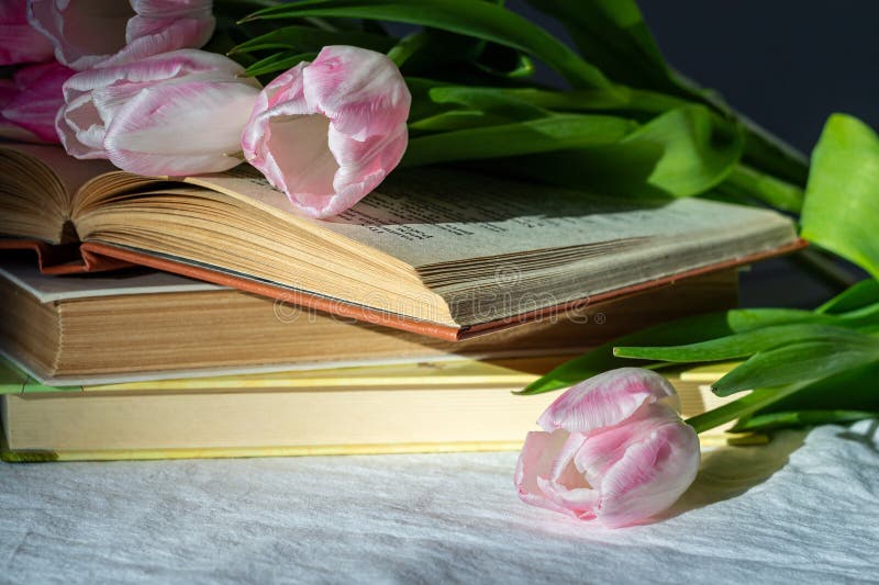 Bouquet of Pink Tulips and a Stack of Three Books on a White Sheet ...