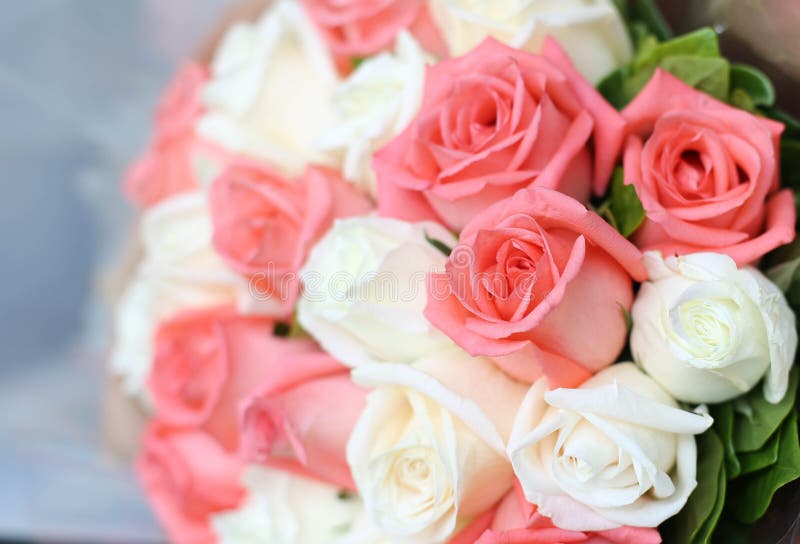 Bouquet Pink and White Roses Flower Stock Image - Image of arrangement ...