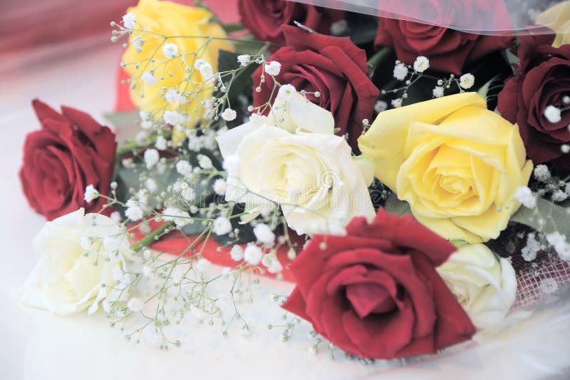 Presentation Bouquet Stock Photos - Download 2,935 Royalty Free Photos