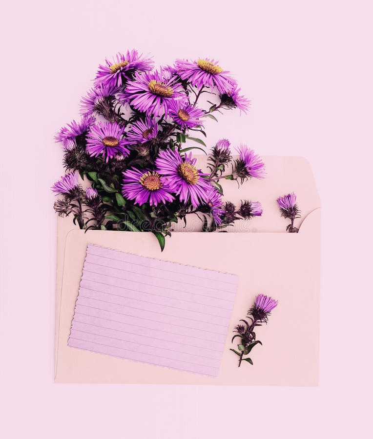 Bouquet of Purple Flowers in an Envelope. Stock Image - Image of green ...
