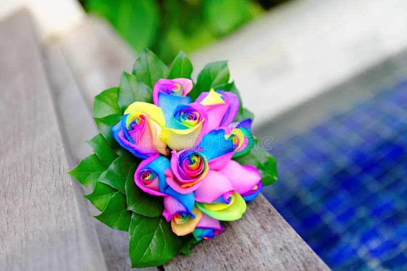 Bouquet of Rainbow Colored Roses Stock Photo - Image of colorful ...