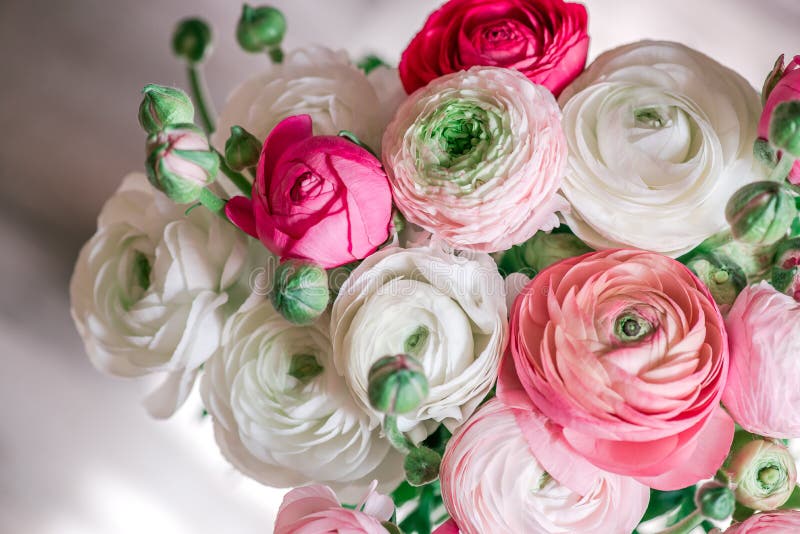 Bouquet of Ranunculus of Different Shades Stock Image - Image of easy ...