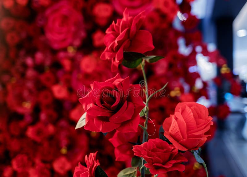 Red artificial roses stock image. Image of love, anniversary - 242997417