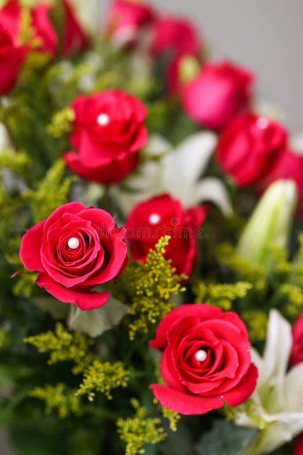 Bouquet of Red Beautiful Roses with Pearl on the Bud, Vertical Stock ...