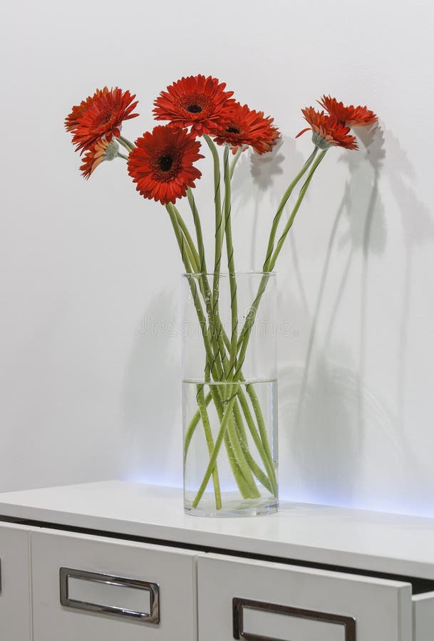 Bouquet of Red Gerberas in a Glass Vase Stock Image - Image of closeup ...